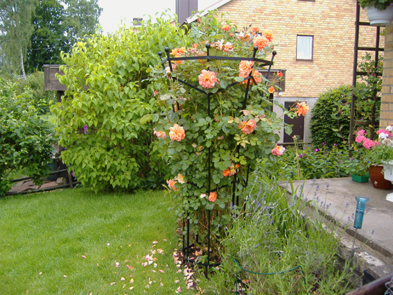 Trädgårdskonst av järn, spalje